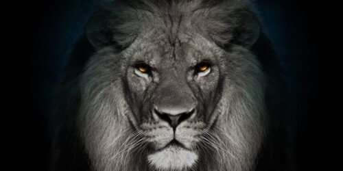 Kate and Curran Texts - ILONA ANDREWS